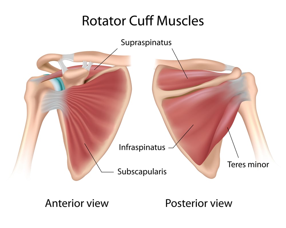 Rotator Cuff Tears: Types, Causes, and Treatment